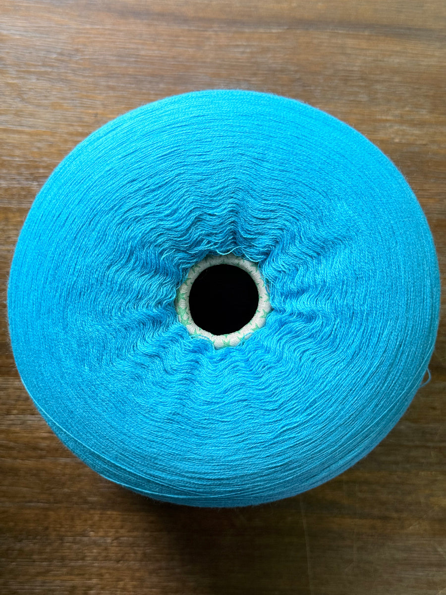 Tollegno 100 Extrafine Merino Wool – That Yarn
